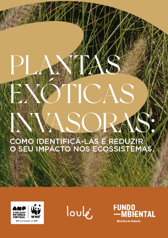 LOULÉ | ESPÉCIES EXÓTICAS INVASORAS – PLANETALGARVE