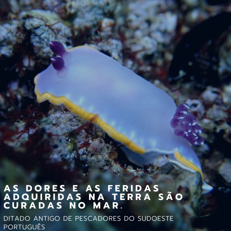 Nova esperança para milhões de pessoas com dor crónica: fármaco ...